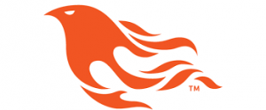 Get To Know About Elixir and Phoenix Frameworks | Dexlock